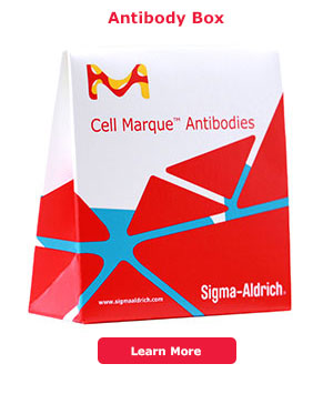 Cell Marque: New Packaging 2020