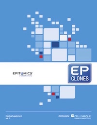 Cell Marque: EP Literature